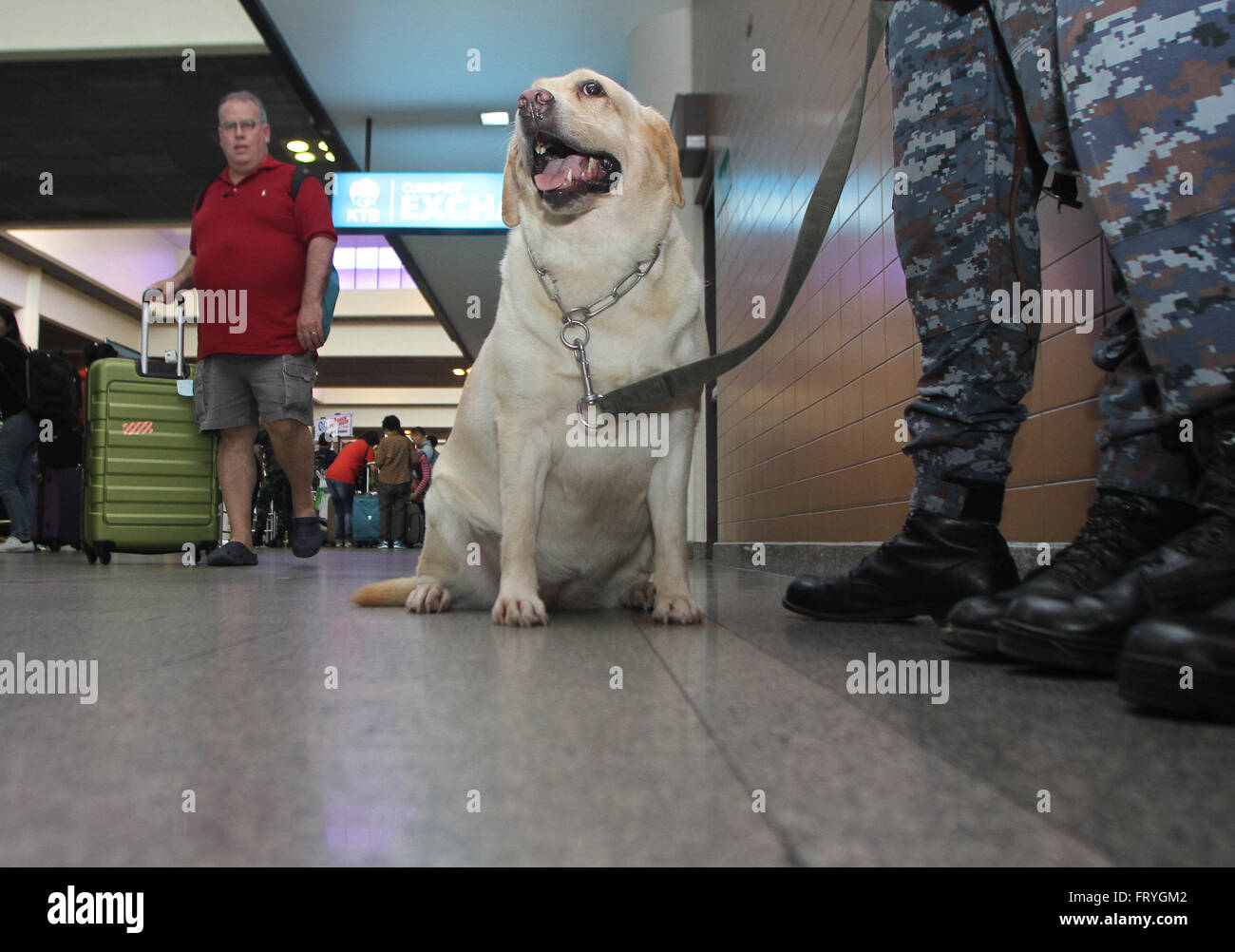 Thailand, Thailand. 25th Mar, 2016. A Thai K9 unit patrols and dog ...