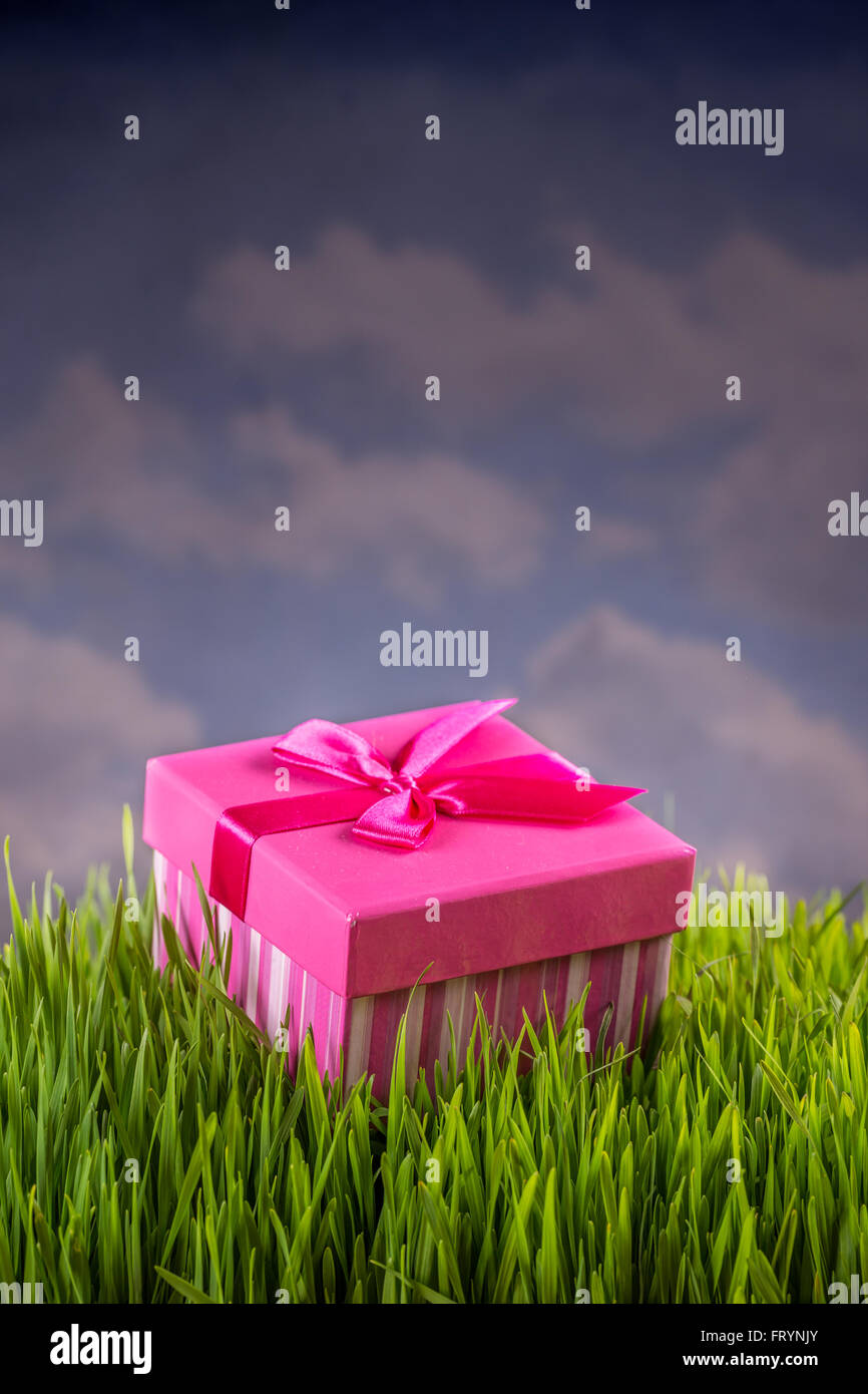 Birthday gift box on the green grass Stock Photo - Alamy