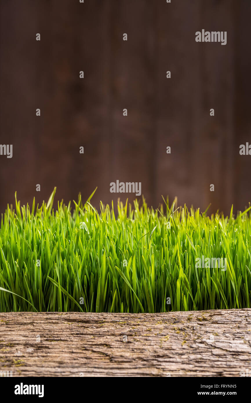 Fresh spring green hi-res stock photography and images - Alamy
