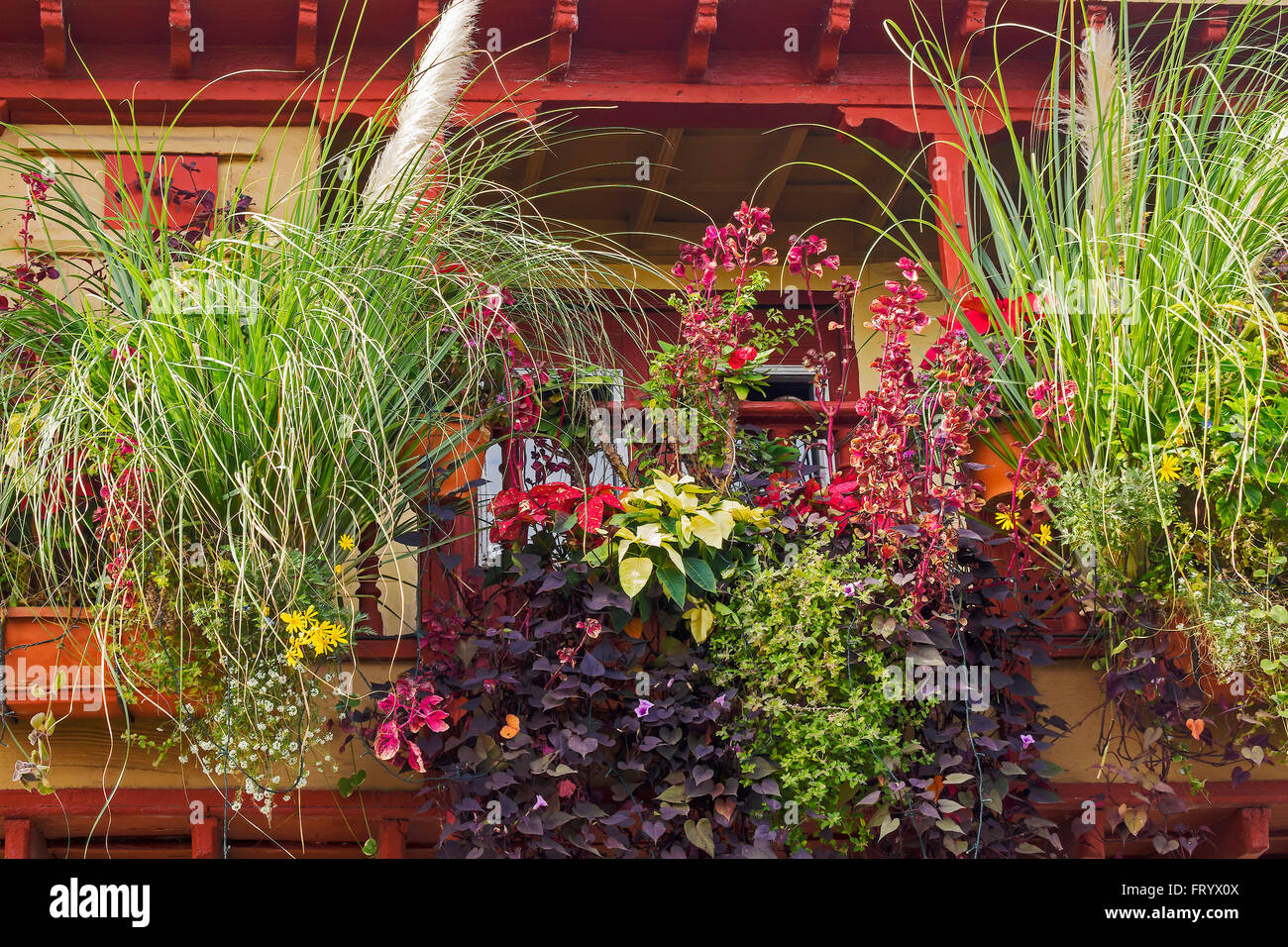 Window box flowers hi-res stock photography and images - Alamy