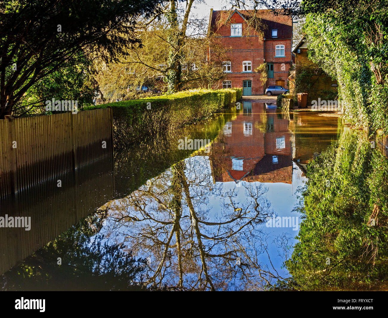 Reflections In A Flood Pool Whitchurch Oxfordshire UK Stock Photo - Alamy