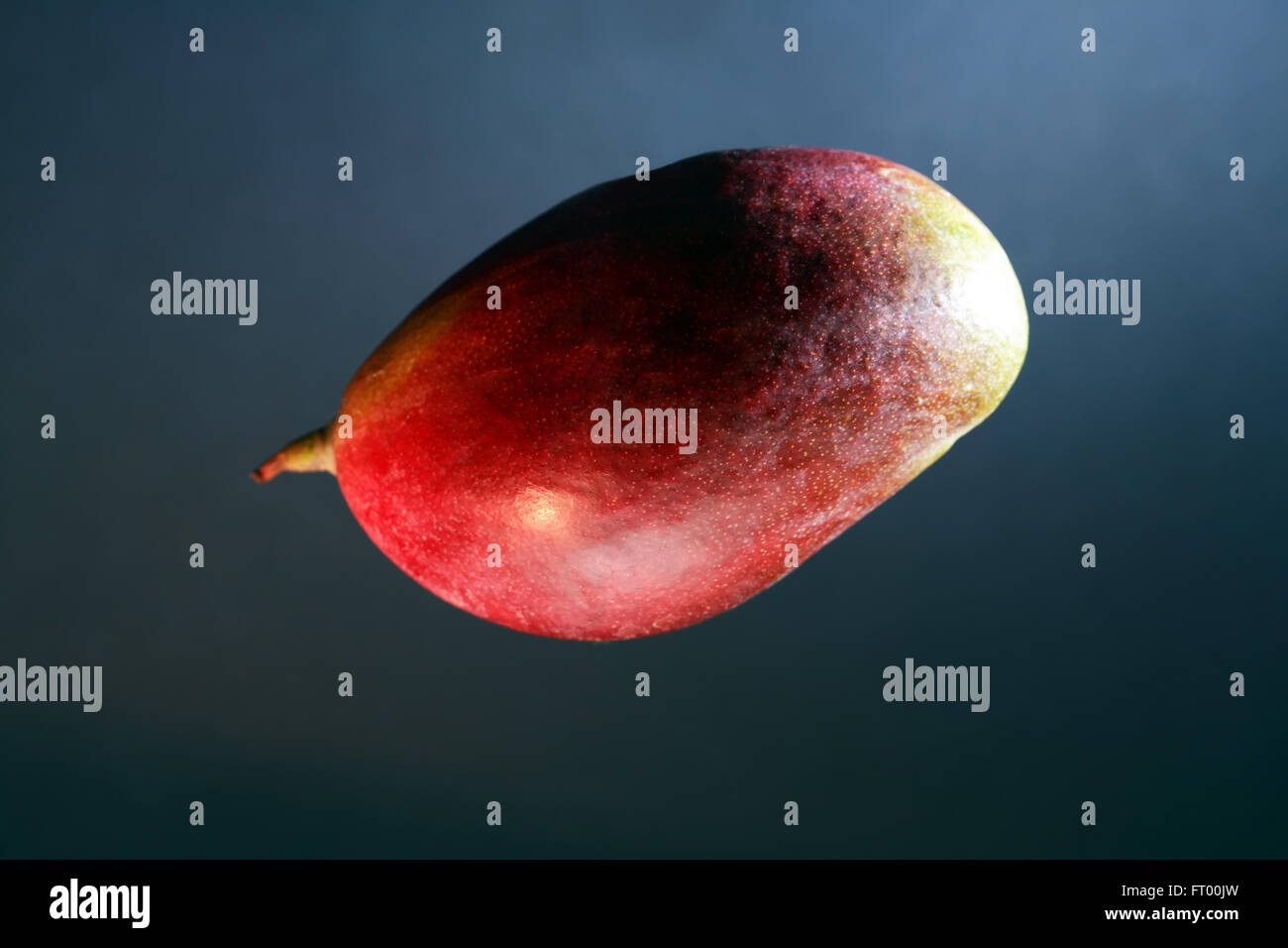 One mango fruit on nice dark background under beam of light Stock Photo ...