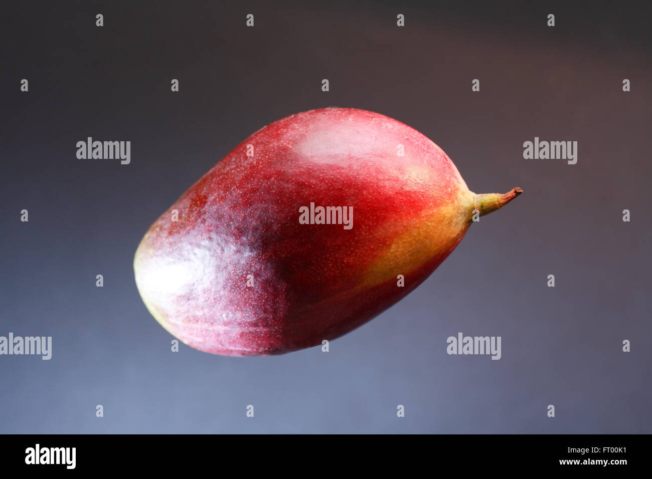 One mango fruit on nice dark background under beam of light Stock Photo ...