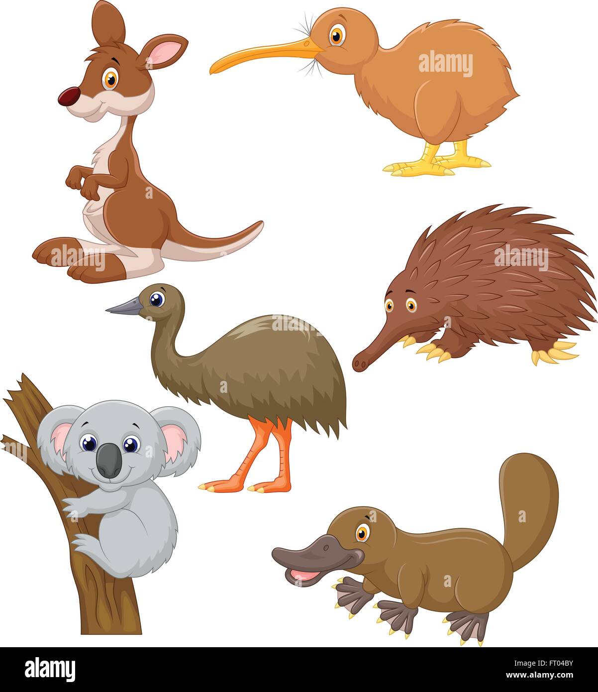 Wombat pouch hi-res stock photography and images - Alamy