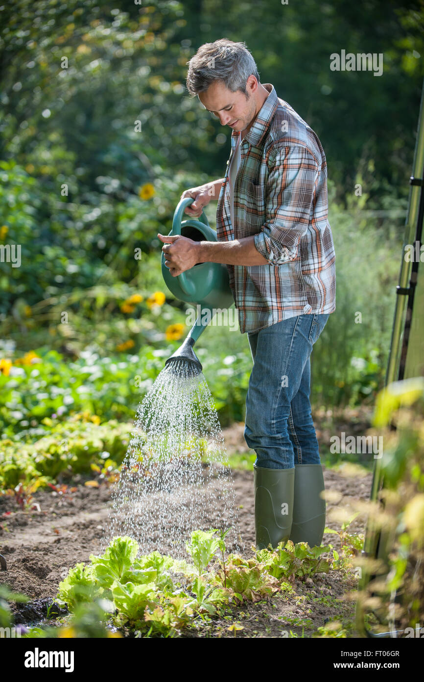Man Watering Plants