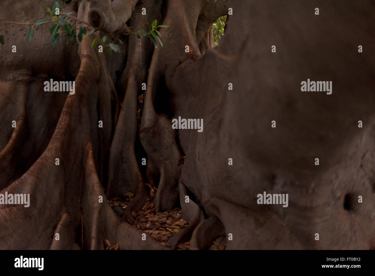 Sustention hi-res stock photography and images - Alamy