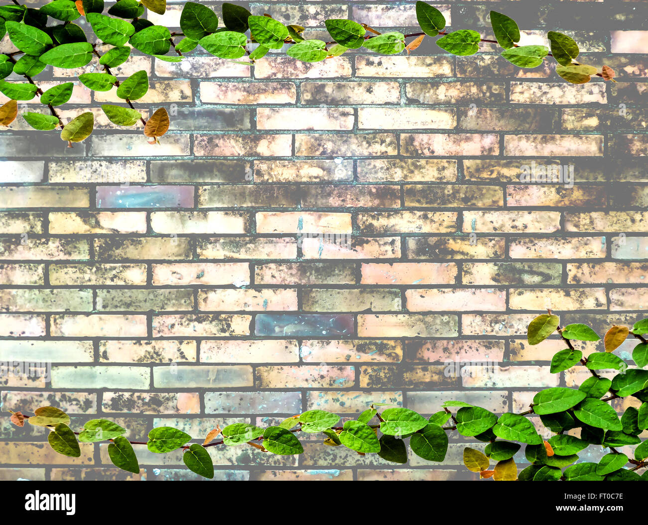 green leaves on brick wall texture Stock Photo - Alamy