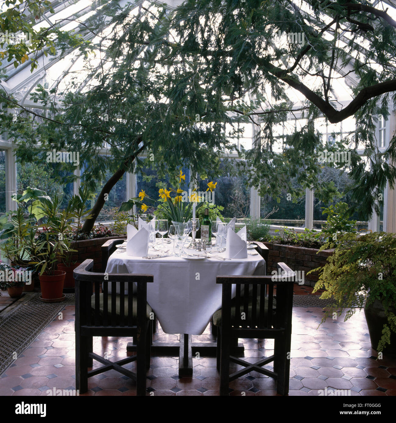 Traditional conservatory hi-res stock photography and images - Alamy