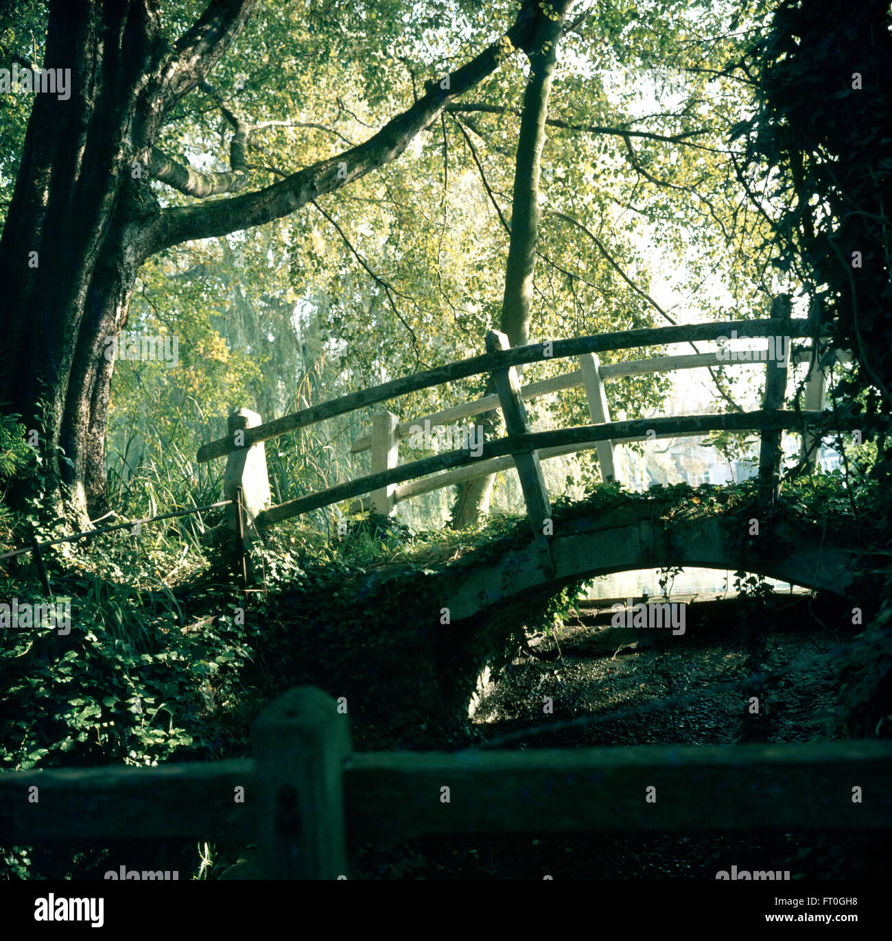Rustic wooden hump backed bridge over a woodland stream Stock Photo - Alamy
