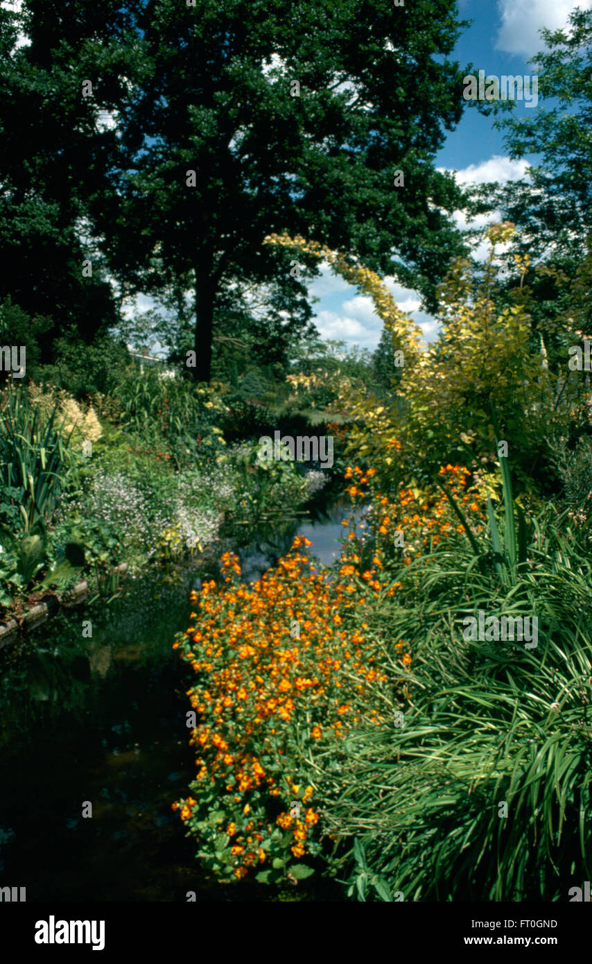 Large impatiens hi-res stock photography and images - Alamy