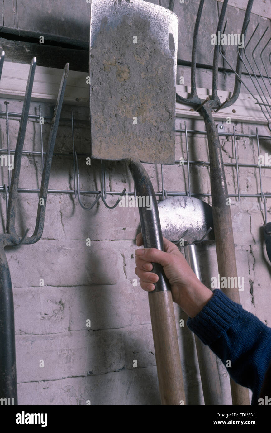 Close-up of a gardener placing a spade on a storage rack in a garden ...