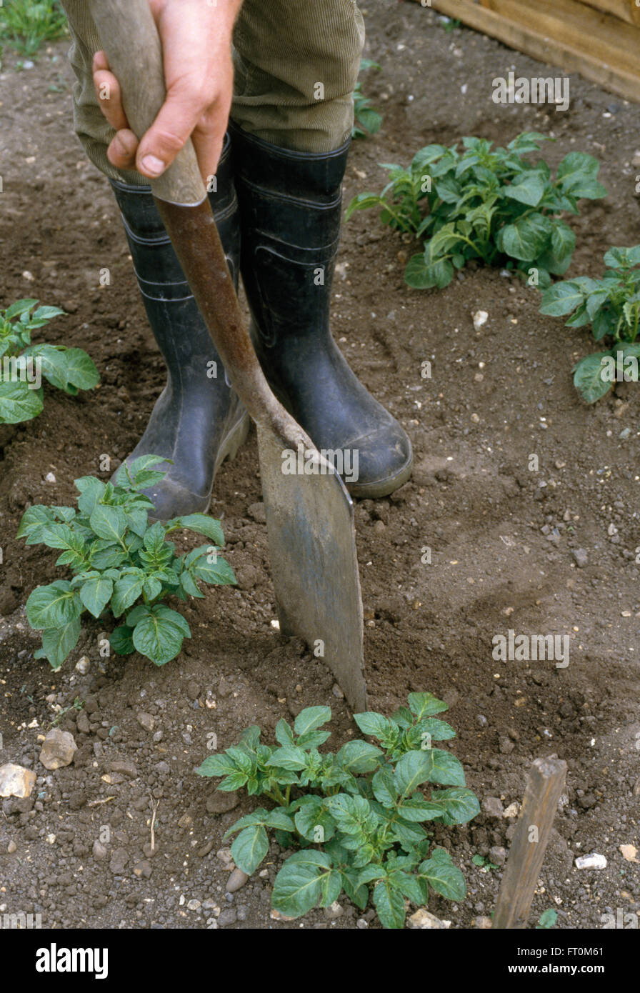 Gardener digging close up hi-res stock photography and images - Alamy