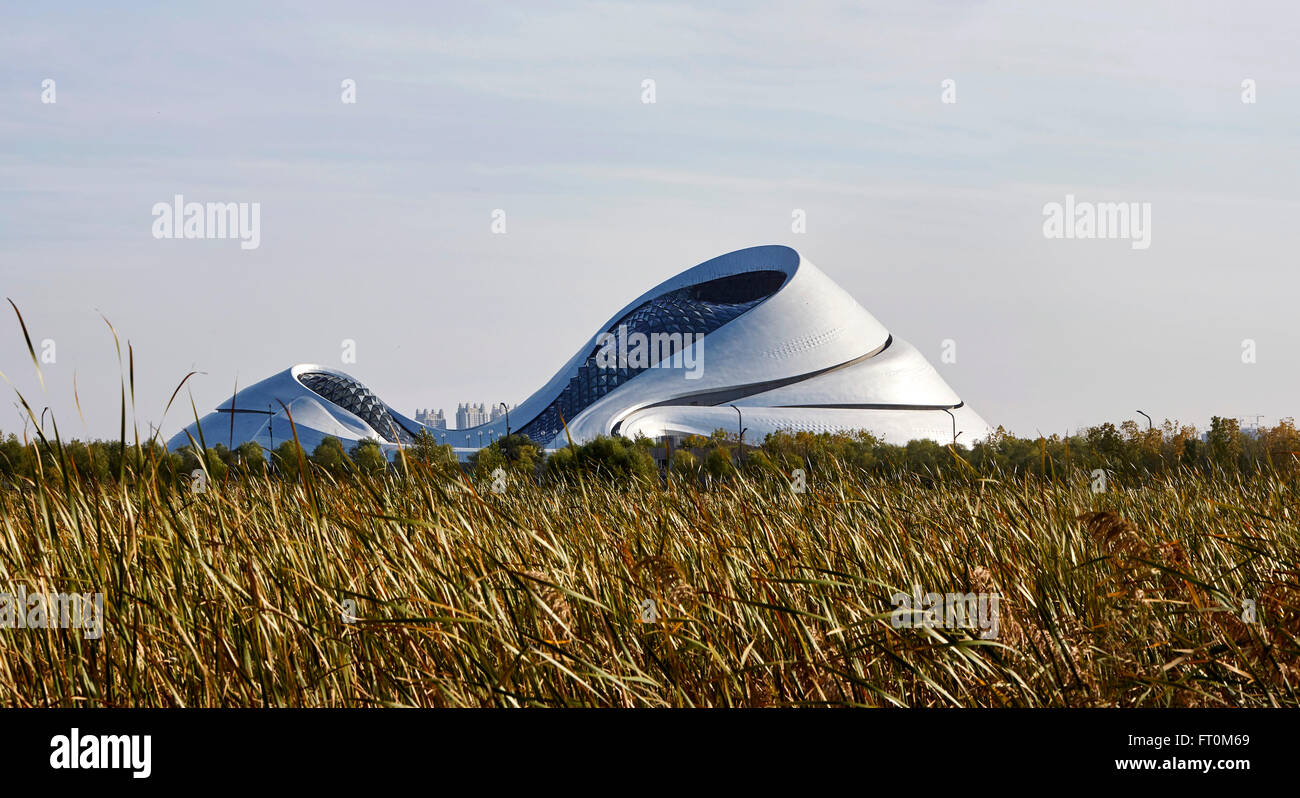 Distant view towards opera across wetland' s reed. Harbin Opera House ...