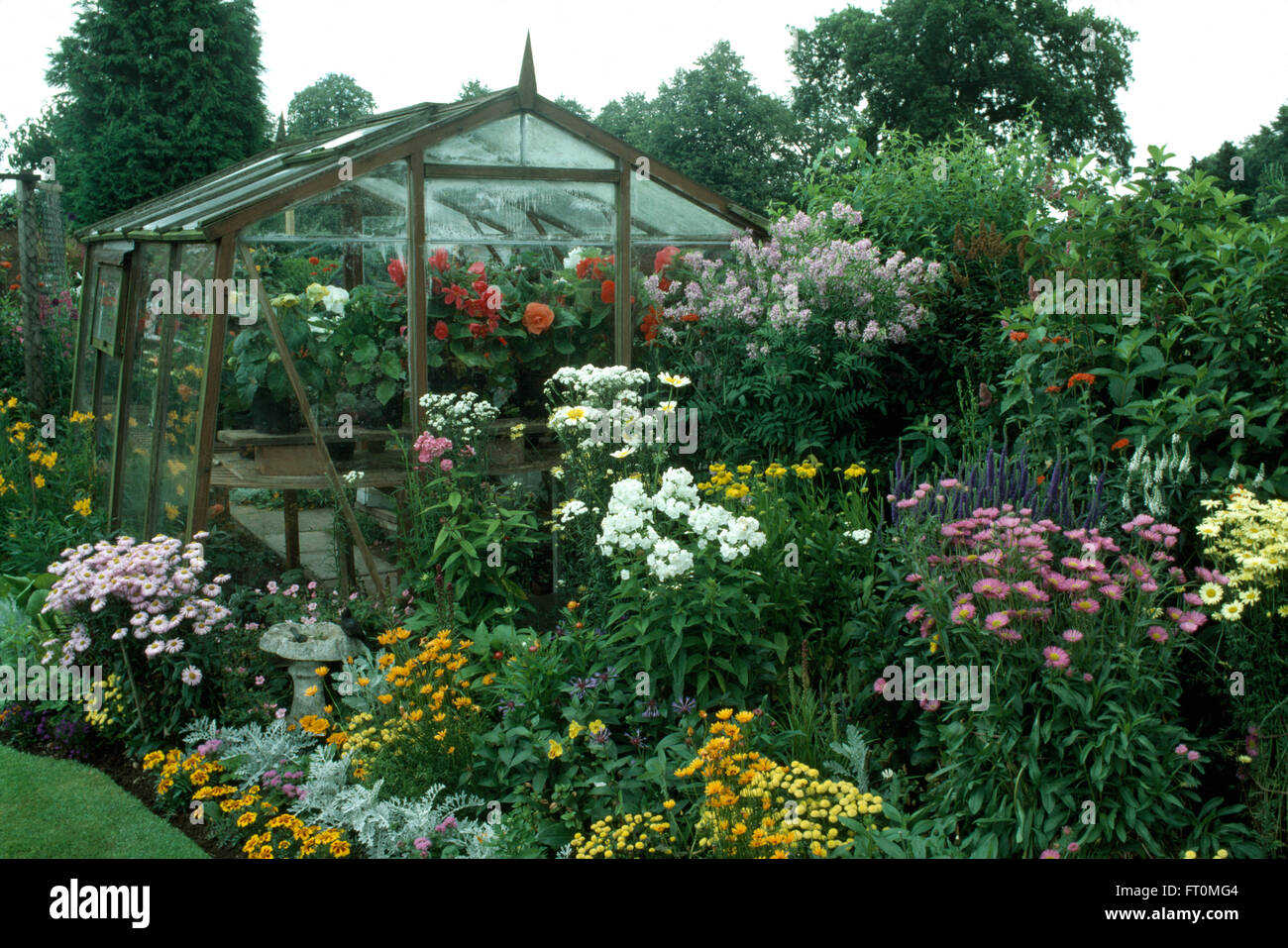 Greenhouse in garden border with colorful perennials Stock Photo - Alamy