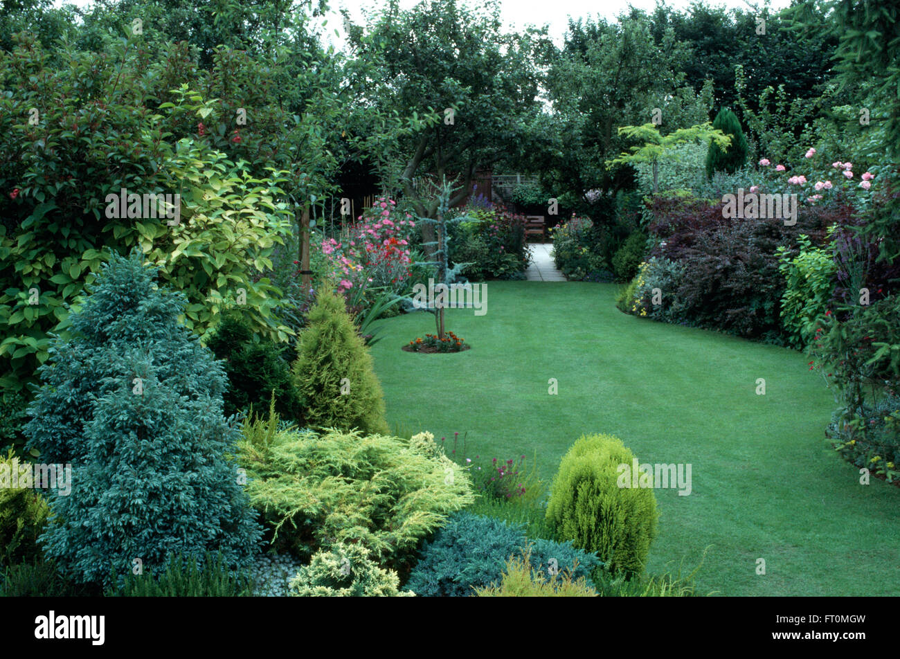 Low growing conifers in well stocked borders edging a newly mown lawn ...