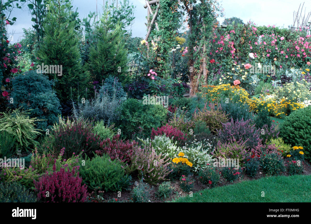 Heather garden border hi-res stock photography and images - Alamy