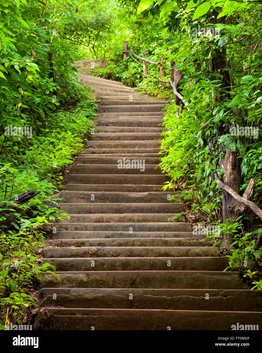 Natural spring stone stairway path hi-res stock photography and images ...