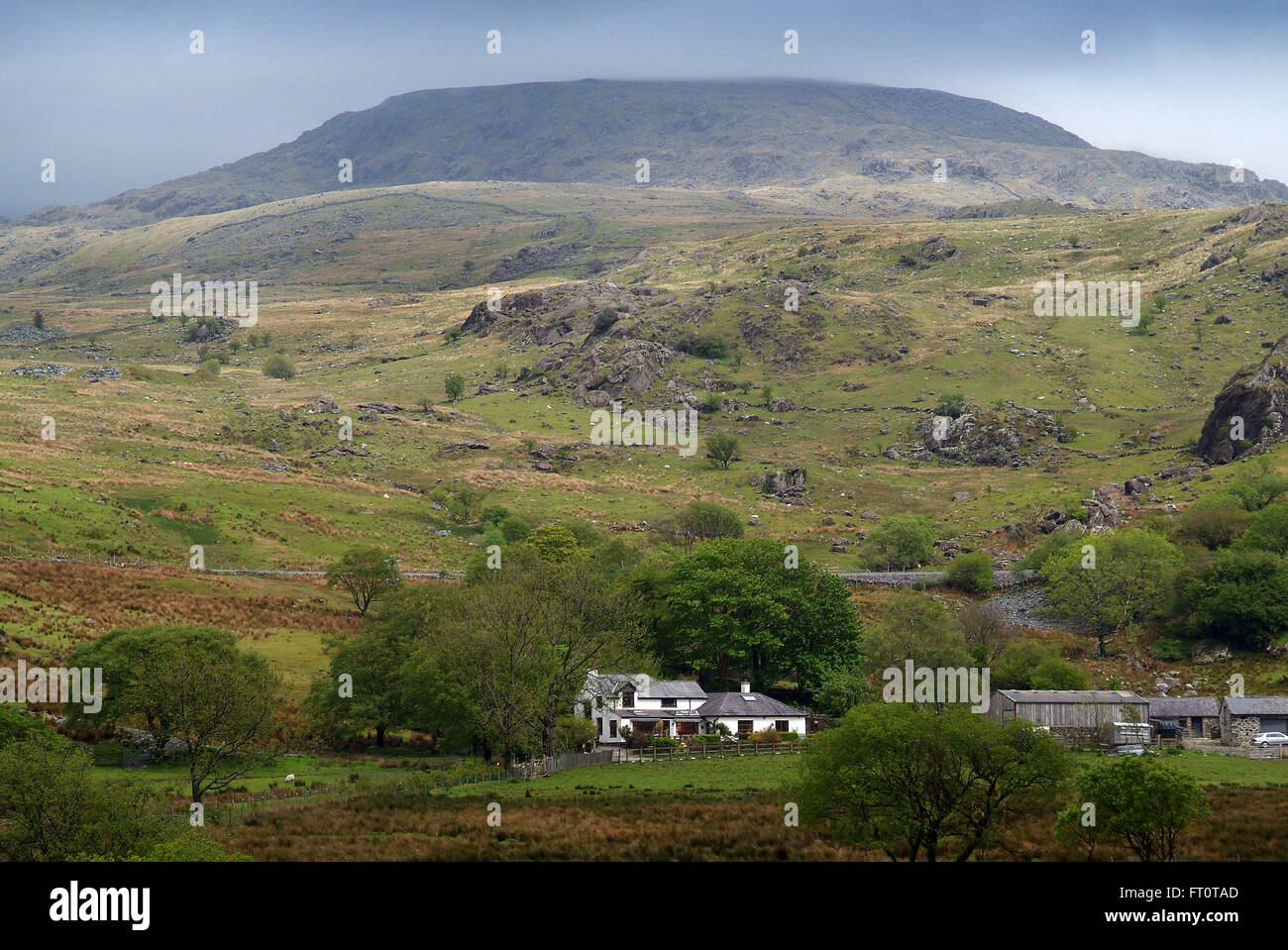 A hill farm on the western slopes of Snowdon in Snowdonia,near ...