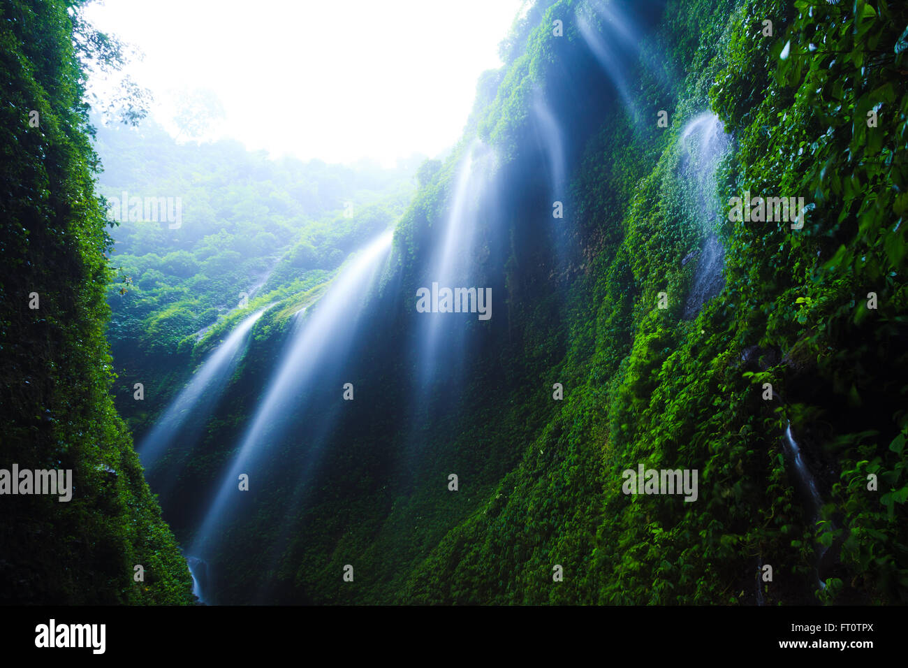 Beautiful madakaripura waterfall natural hi-res stock photography and ...