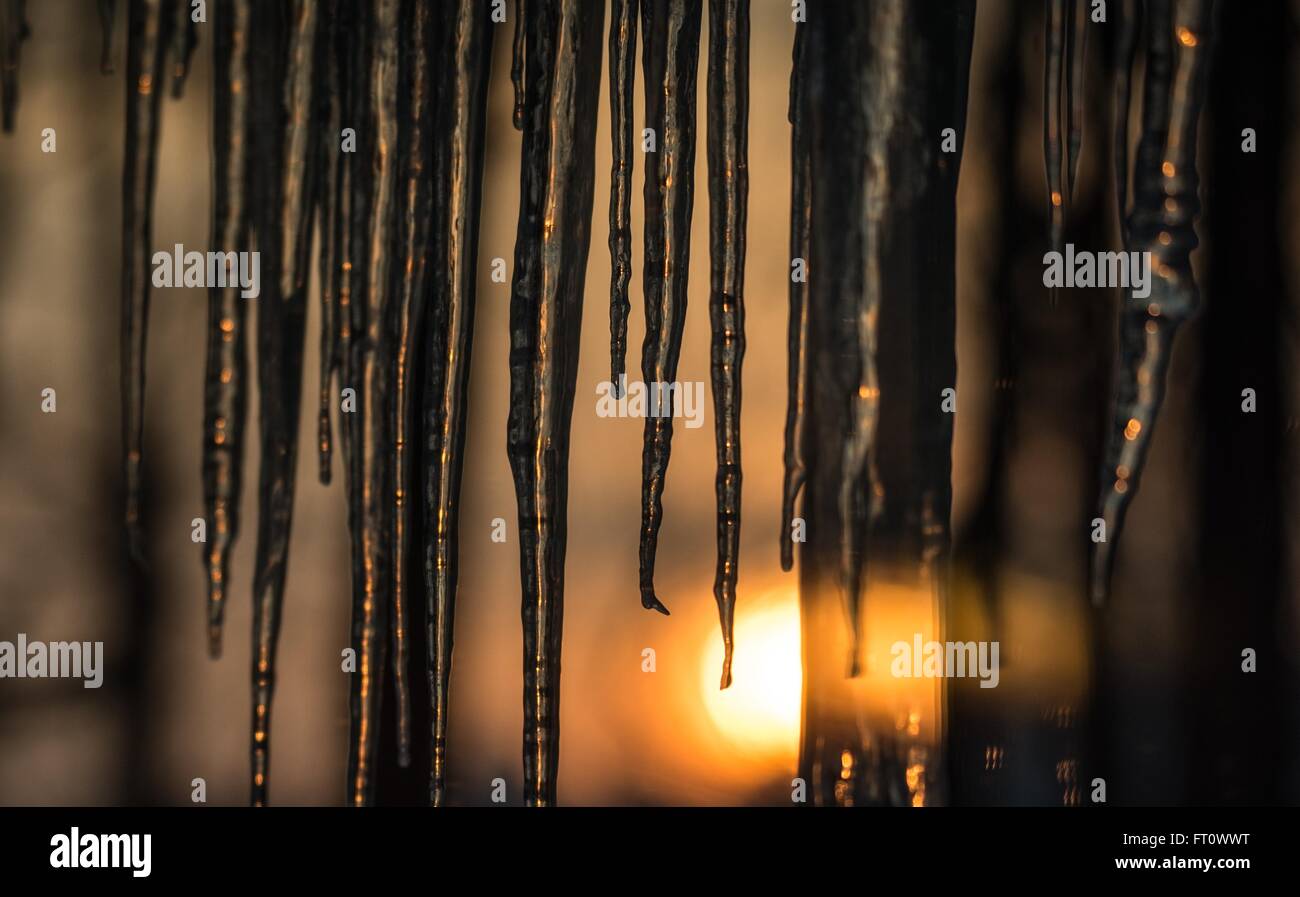 Abstract background of sunrise through natural icicle formation as it ...