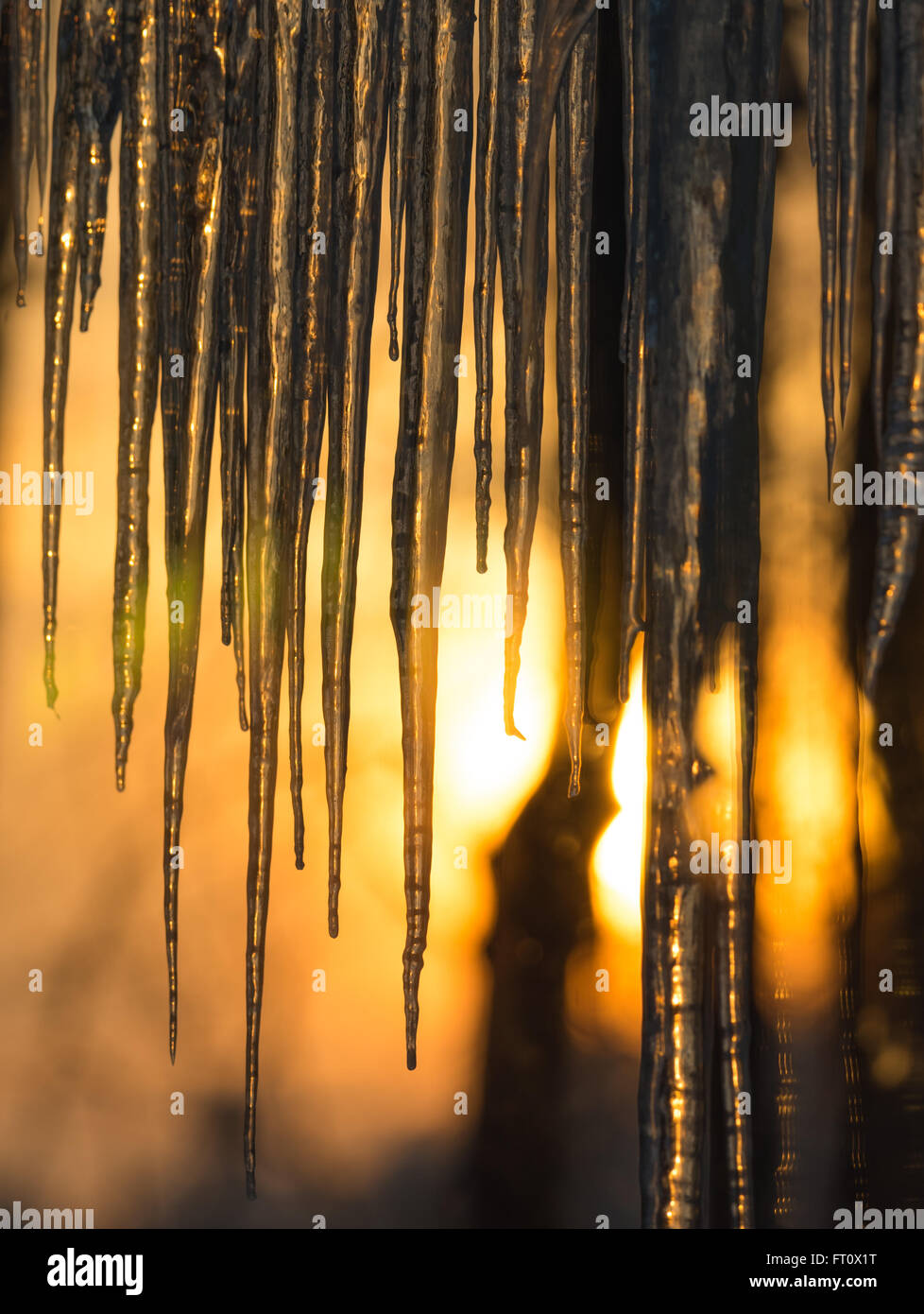 Abstract background of sunrise through natural icicle formation as it ...