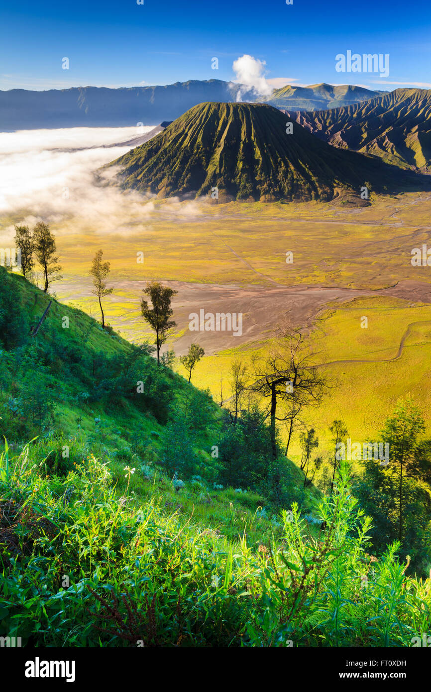 Bromo volcano at sunrise, East Java, Indonesia Stock Photo - Alamy