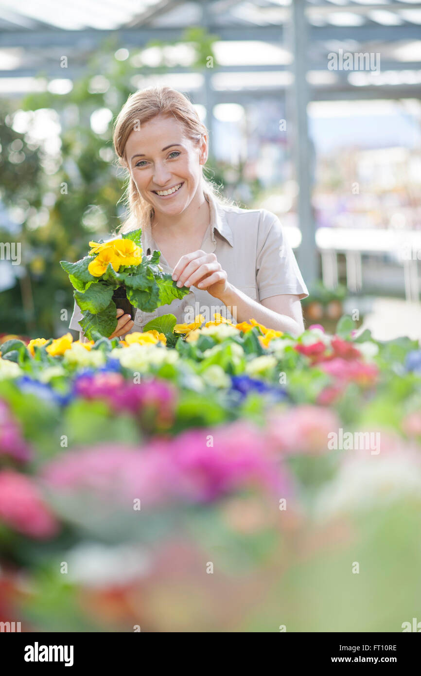 Beautiful young woman selecting flowers to plant in his garden Stock ...