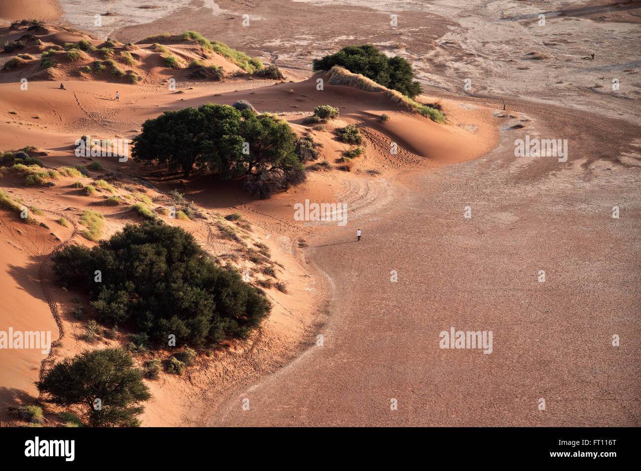 bird's eye view at clay pan so called Vlei around Sossusvlei, Namib ...