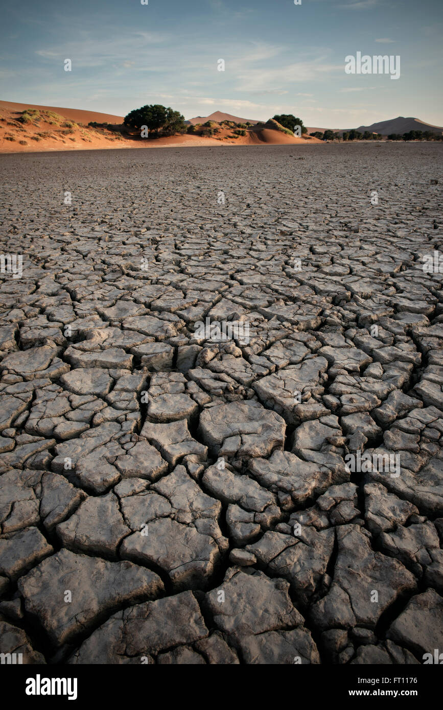 Cracks desert sand hi-res stock photography and images - Alamy