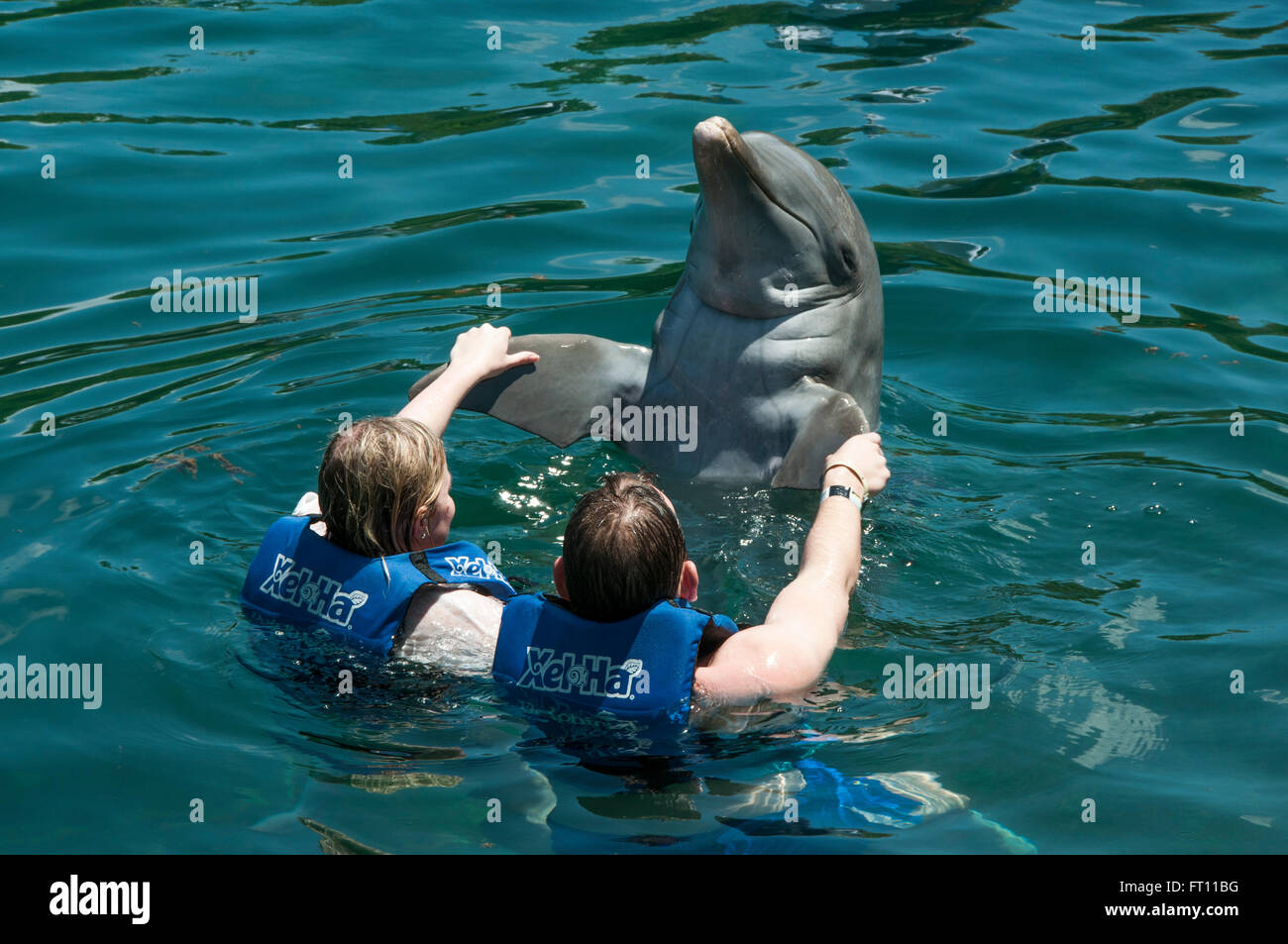 Two people swimming with a dolphin, Xel-Ha Water Park, Tulum, Riviera ...