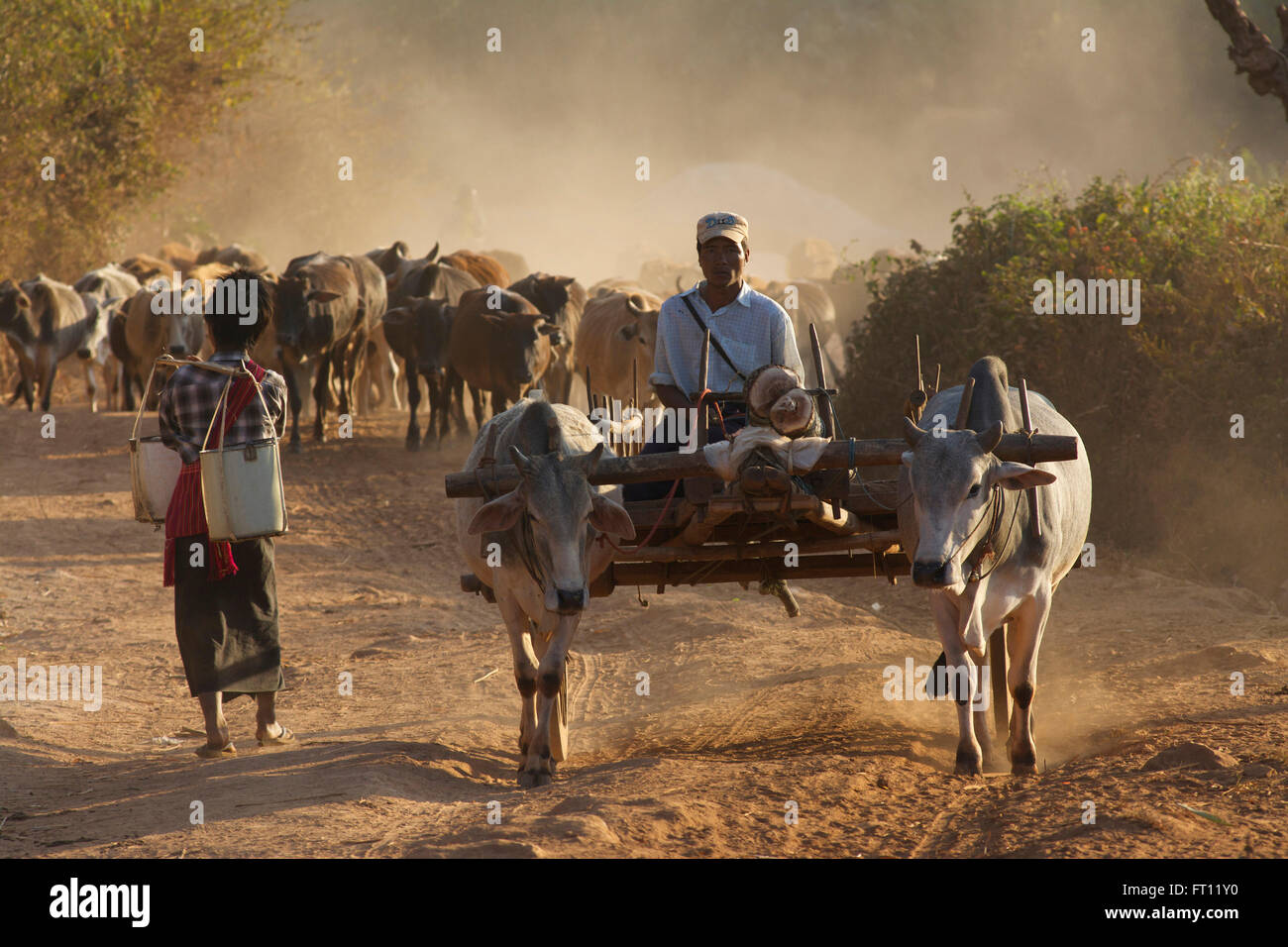 Asian man walking lake from hi-res stock photography and images - Alamy
