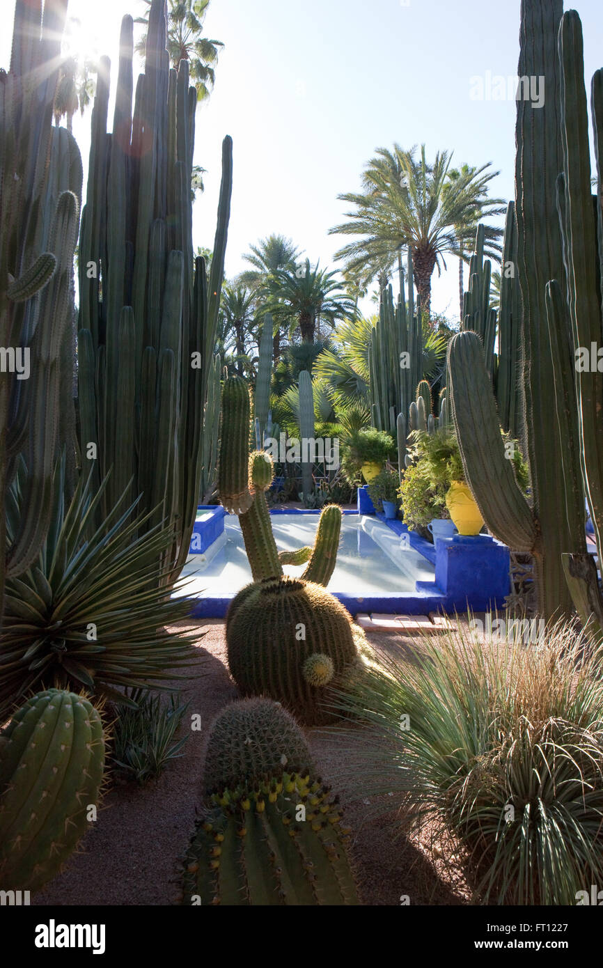 YSL's garden, Majorelle Garden, Marrakech, Morocco Stock Photo - Alamy