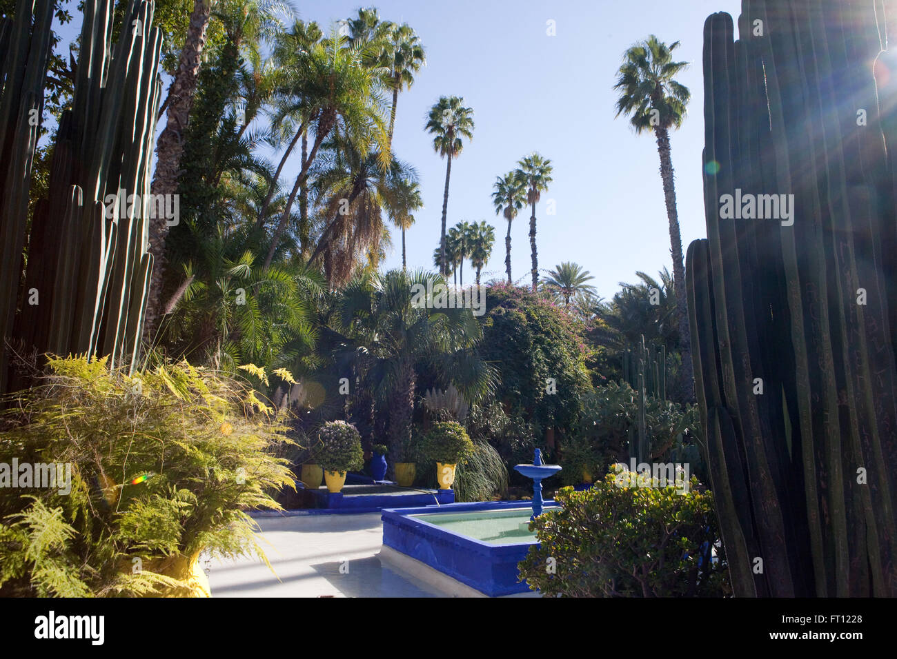 YSL's garden, Majorelle Garden, Marrakech, Morocco Stock Photo - Alamy