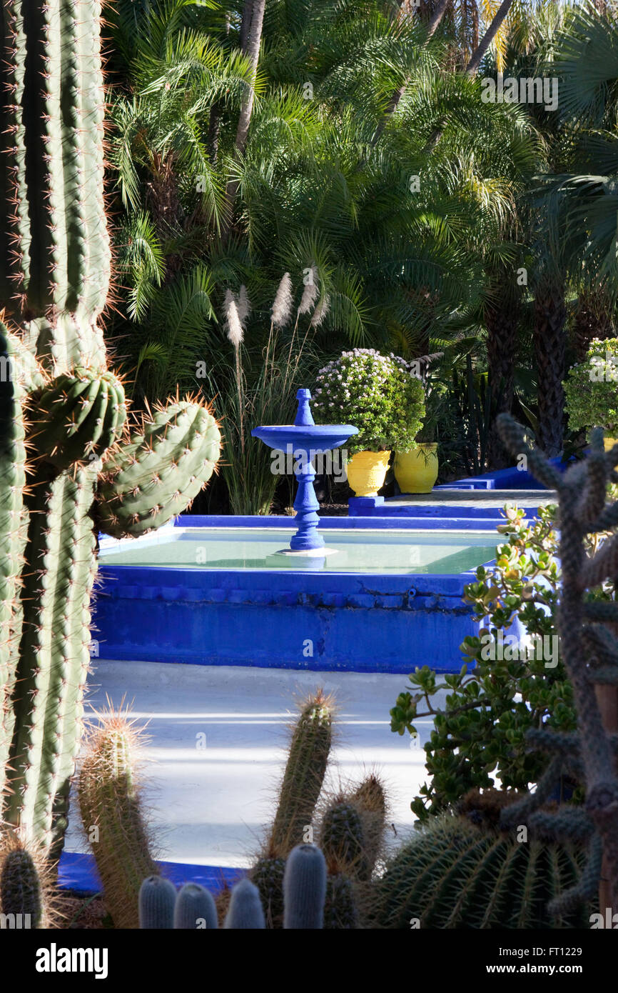 YSL's garden, Majorelle Garden, Marrakech, Morocco Stock Photo - Alamy