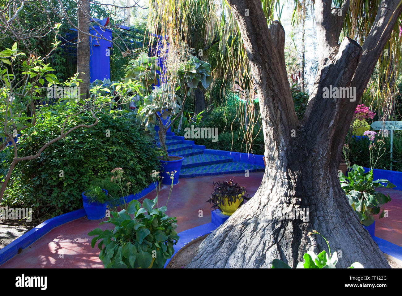 YSL's garden, Majorelle Garden, Marrakech, Morocco Stock Photo - Alamy