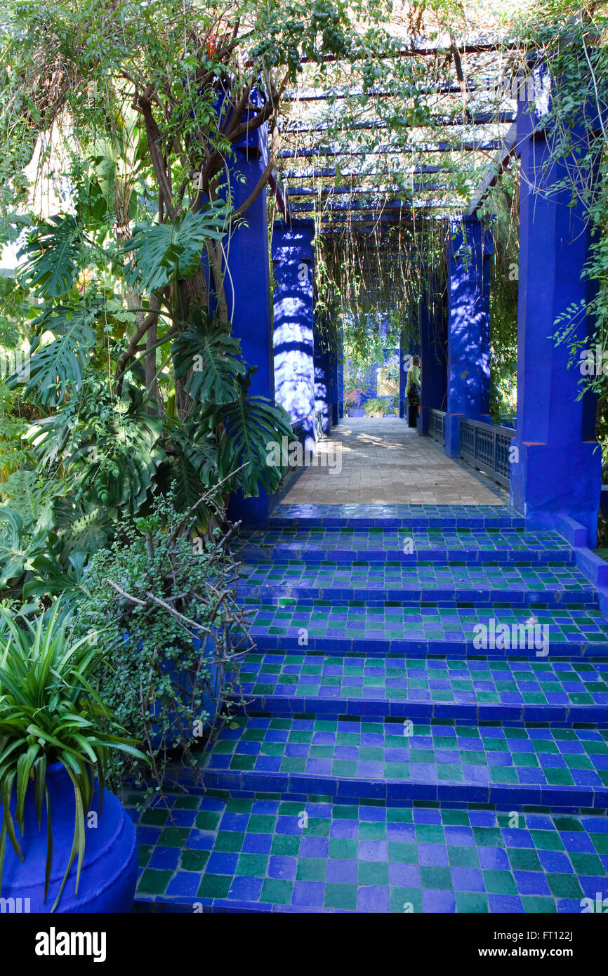 YSL's garden, Majorelle Garden, Marrakech, Morocco Stock Photo - Alamy