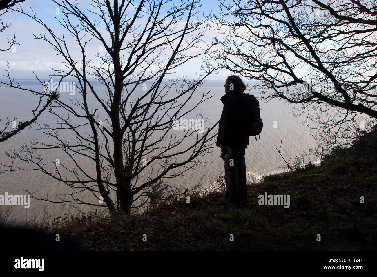 A lone walker climbing on of the hills along South West coastal path ...