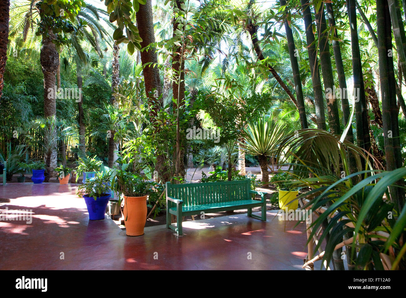 YSL's garden, Majorelle Garden, Marrakech, Morocco Stock Photo - Alamy