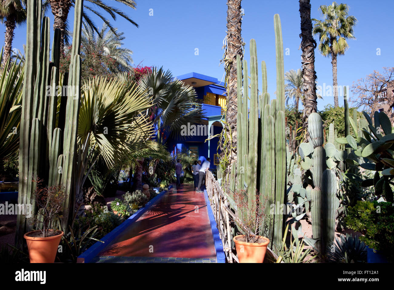 YSL's garden, Majorelle Garden, Marrakech, Morocco Stock Photo - Alamy