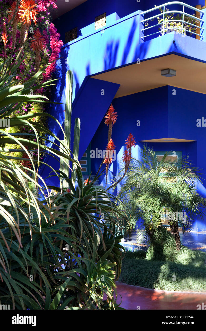 YSL's garden, Majorelle Garden, Marrakech, Morocco Stock Photo - Alamy