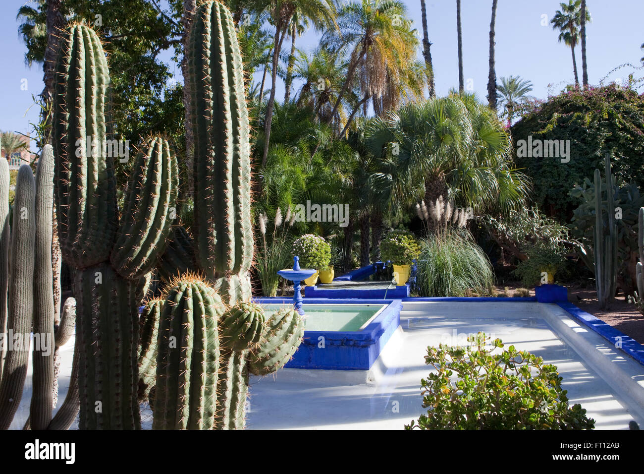 YSL's garden, Majorelle Garden, Marrakech, Morocco Stock Photo - Alamy