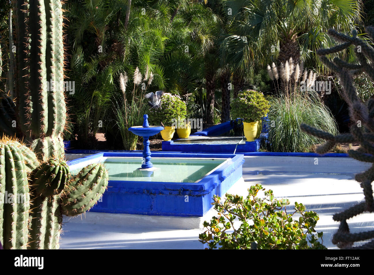 YSL's garden, Majorelle Garden, Marrakech, Morocco Stock Photo - Alamy