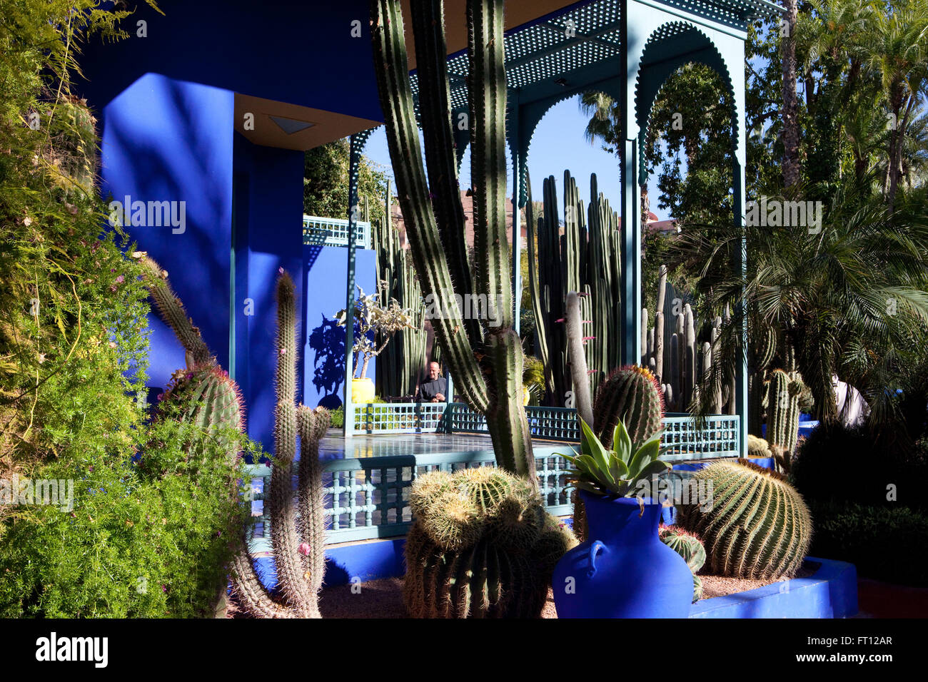 YSL's garden, Majorelle Garden, Marrakech, Morocco Stock Photo - Alamy