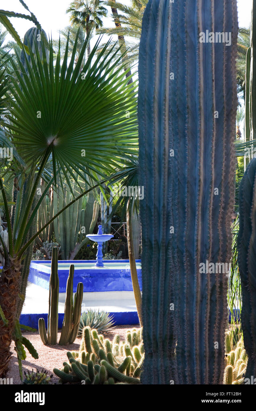 YSL's garden, Majorelle Garden, Marrakech, Morocco Stock Photo - Alamy