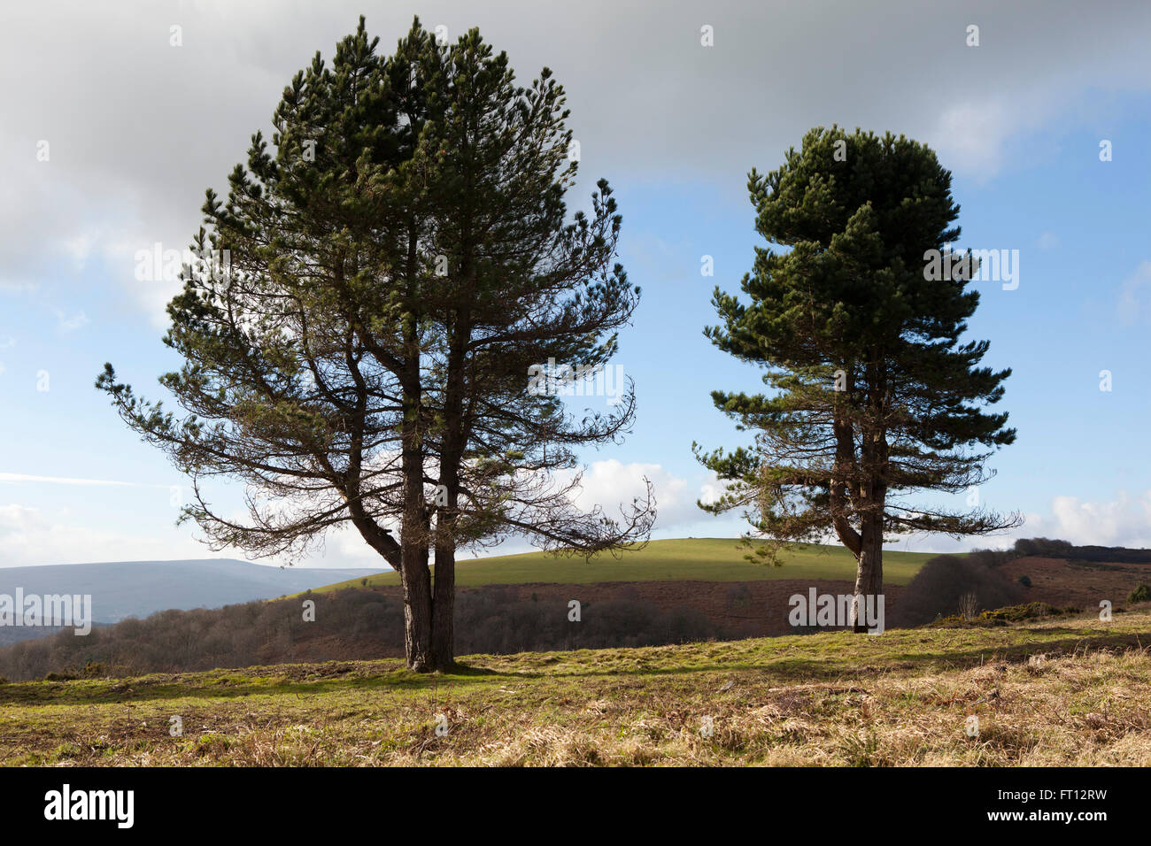 Porlock weir coastal path hi-res stock photography and images - Alamy