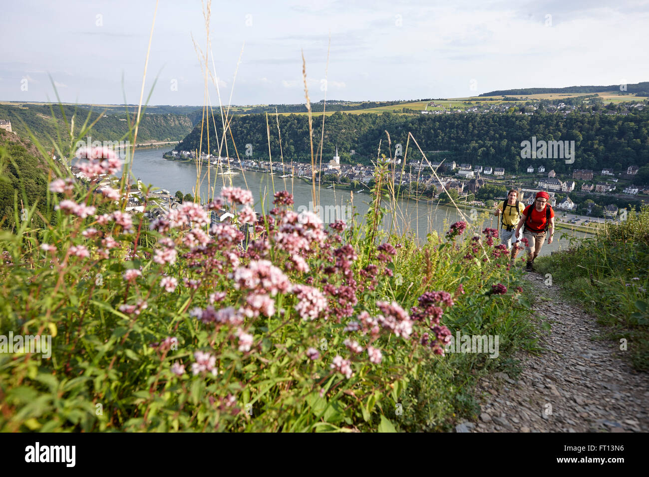 Hiking along hiking trail Rheinsteig, near Sankt Goarshausen, Rhineland ...
