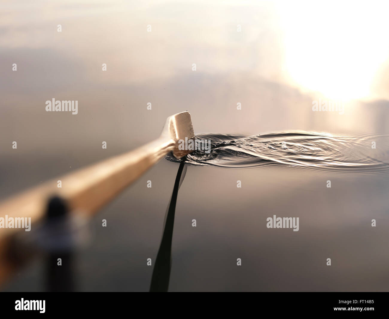 Wooden oar blade, lake Chiemsee, Bavaria, Germany Stock Photo - Alamy