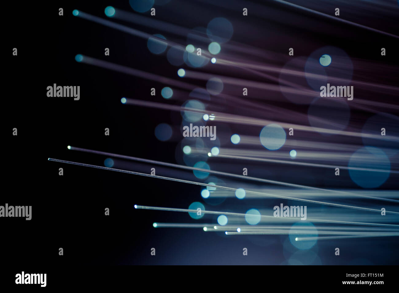 Science. Fiber optic cables, fibre connection, telecomunications ...