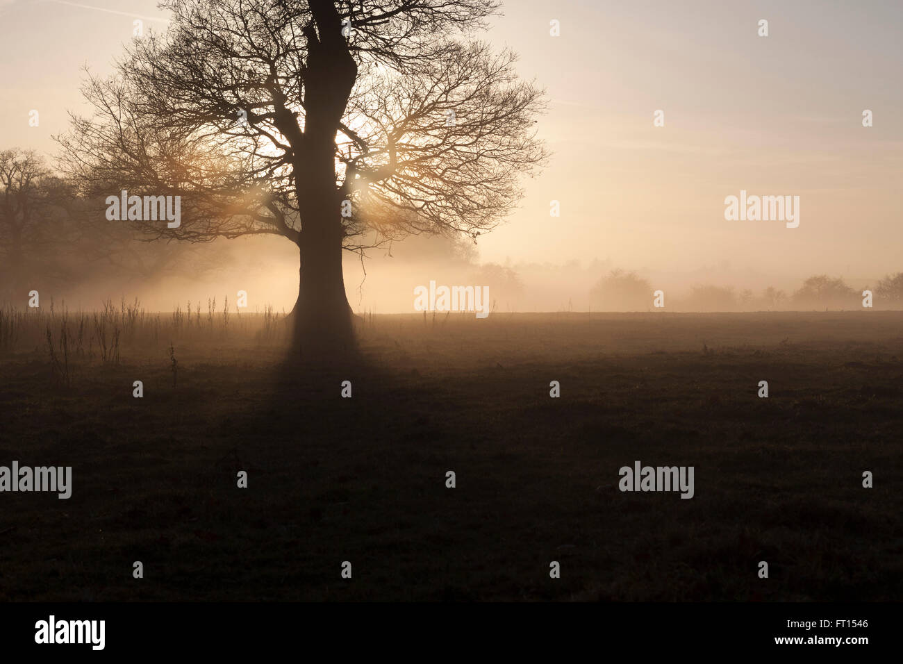 Sunset or twilight in the british countryside and this Cotswolds scene ...