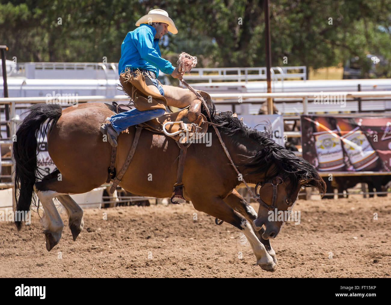 Rodeo action in Cottonwood, California Stock Photo - Alamy